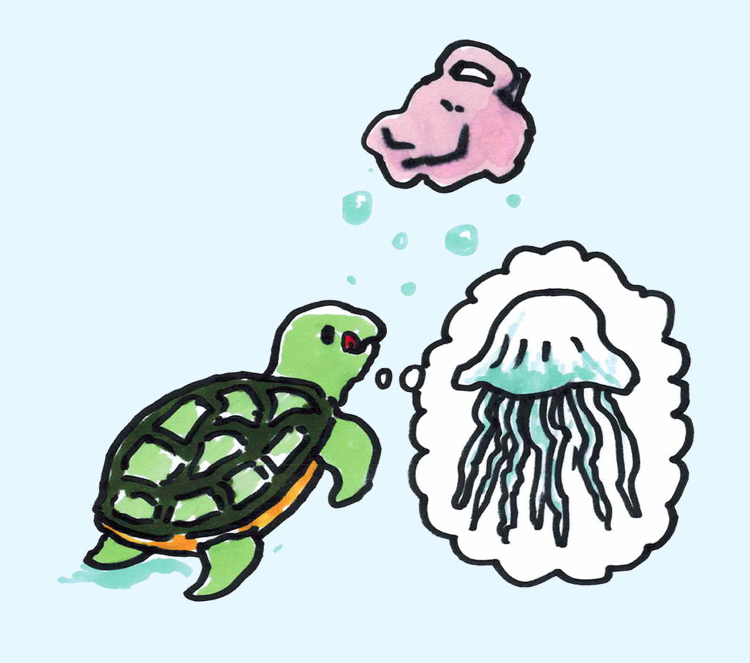 What can we do to save the sea turtles? 如何抢救海龟？ - Dim Sum Warriors